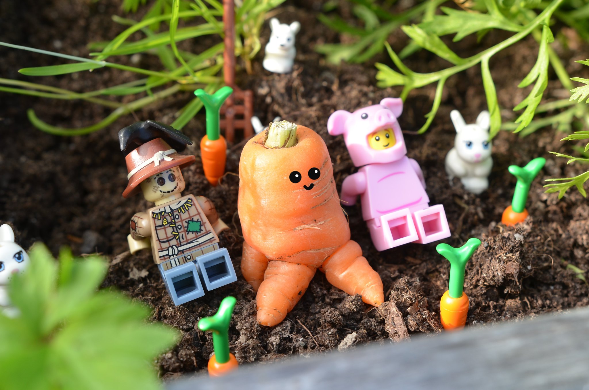 Timeless Rarities - Home